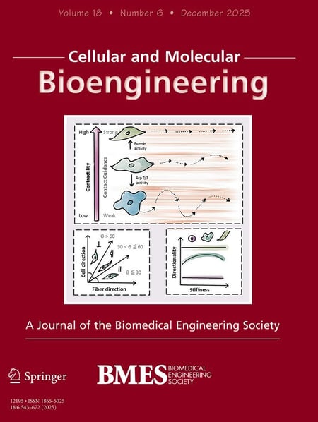 What is Biomedical Engineering | Biomedical Engineering Society