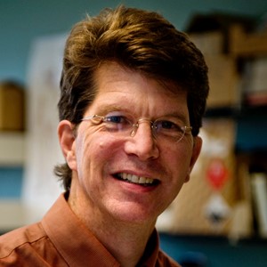 Governance Overview | BMES Board of Directors | Biomedical Engineering ...